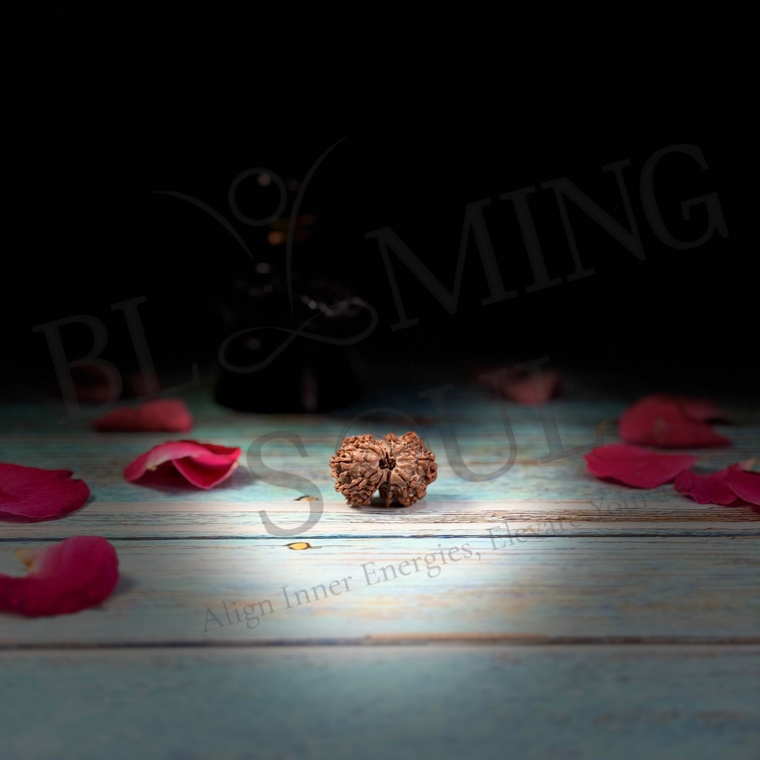 Gauri Shankar Rudraksh – bloomingsoul.co.in