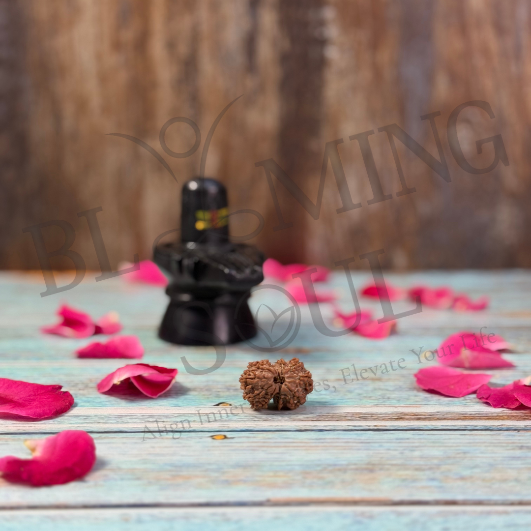 Gauri Shankar Rudraksh – bloomingsoul.co.in